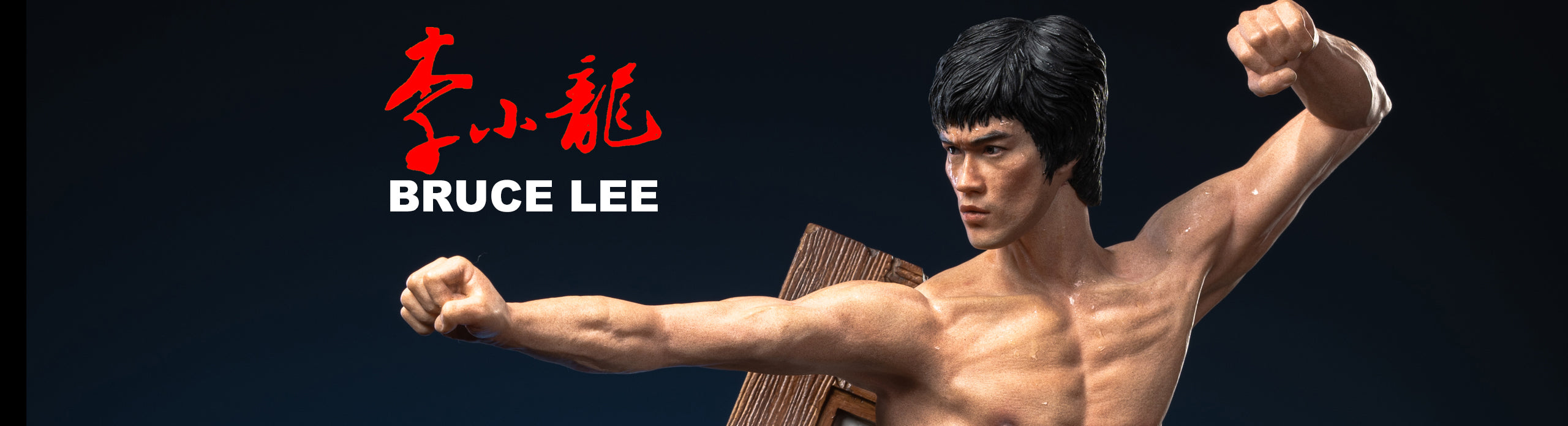 Star Ace Toys Limited – Star Ace Toys Limited