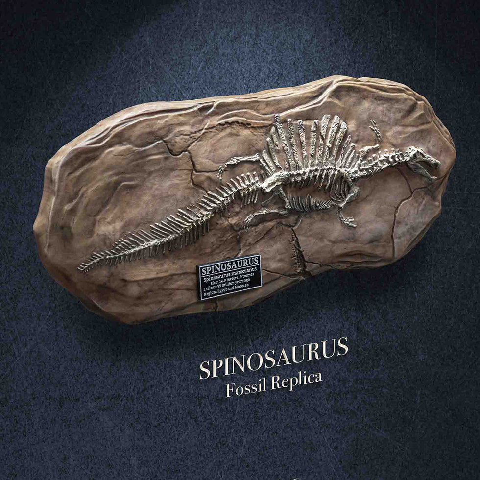 SPINOSAURUS(Fossil Replica) – Star Ace Toys Limited