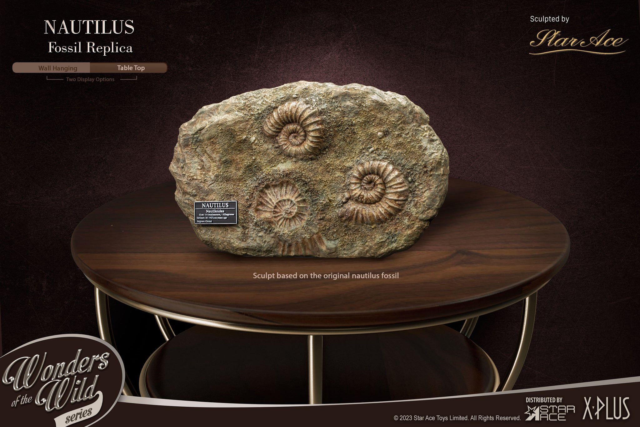 Nautilus 1:1 Replicas Frame & Fossil(Deluxe ver.) – Star Ace Toys Limited