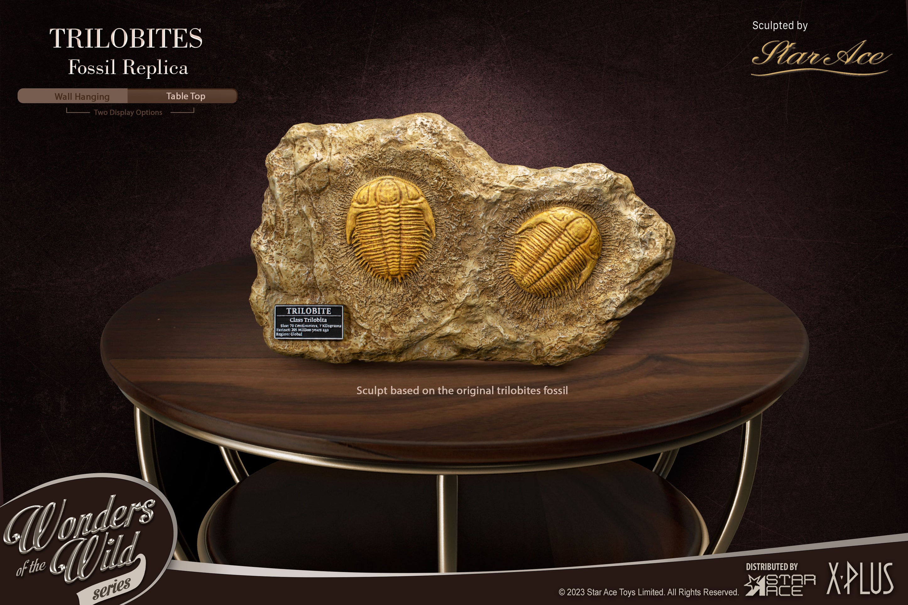 Trilobites 1:1 Replicas & Fossil(Deluxe ver.) – Star Ace Toys Limited